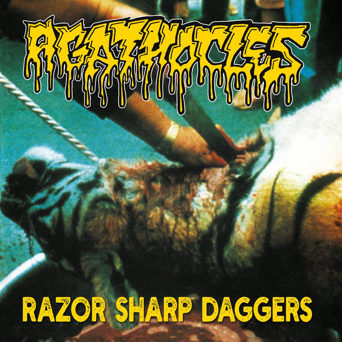 Agathocles – Razor Sharp Daggers CD | Blacksound Records